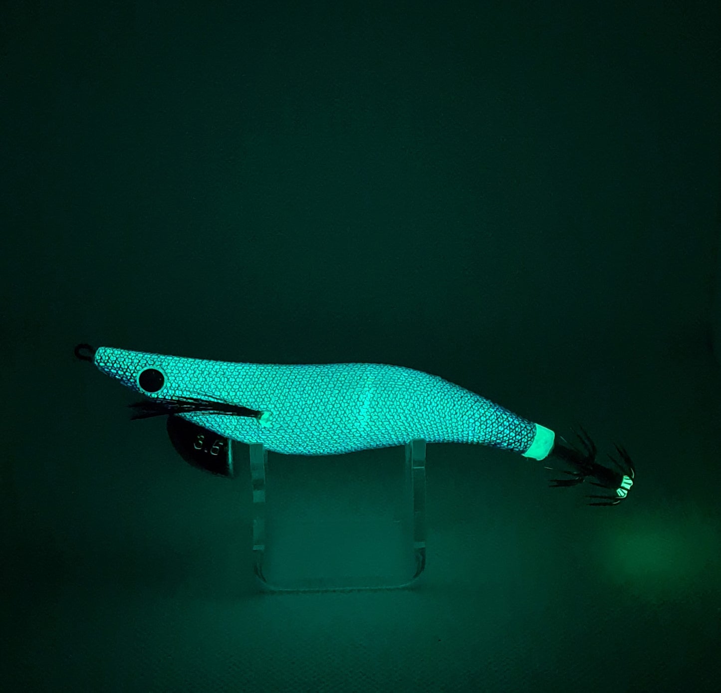 Night BlueX – Egitex